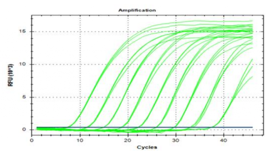 Research to Construct the Process for Detecting African Swine Fever ...