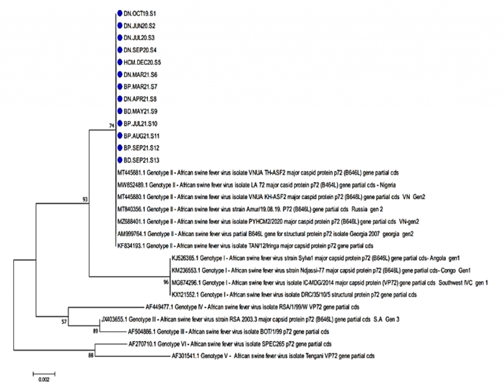 Research to Construct the Process for Detecting African Swine Fever ...